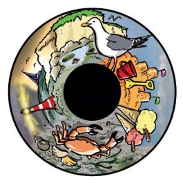 Magnetic Effect Wheels - Seaside Sensory Rooms & Snoezelen® Equipment ...