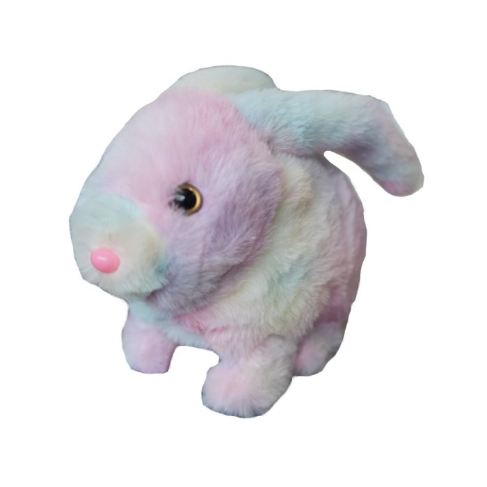 magic rabbit autohub