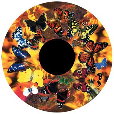 Magnetic Effect Wheels - Butterfly Sensory Rooms & Snoezelen® Equipment ...