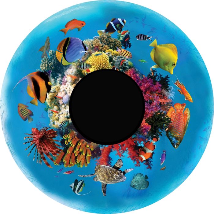Magnetic Effect Wheels - Tropical Fish | Snoezelen® Multi-Sensory ...