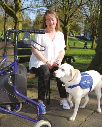 Support Dogs Rompa Partnership Sensory Rooms & Snoezelen® Equipment ...