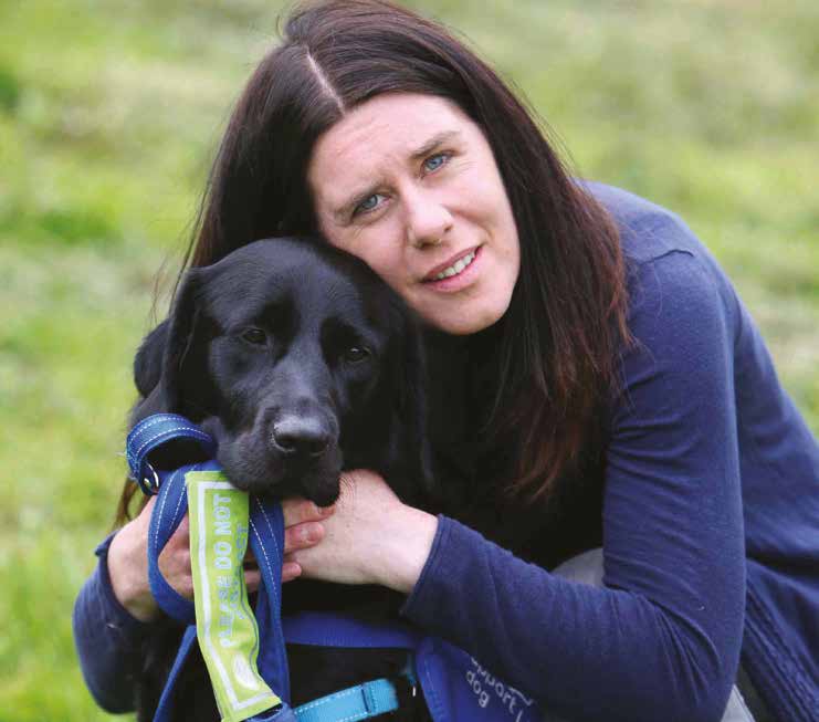 Support Dogs Rompa Partnership Sensory Rooms & Snoezelen® Equipment ...