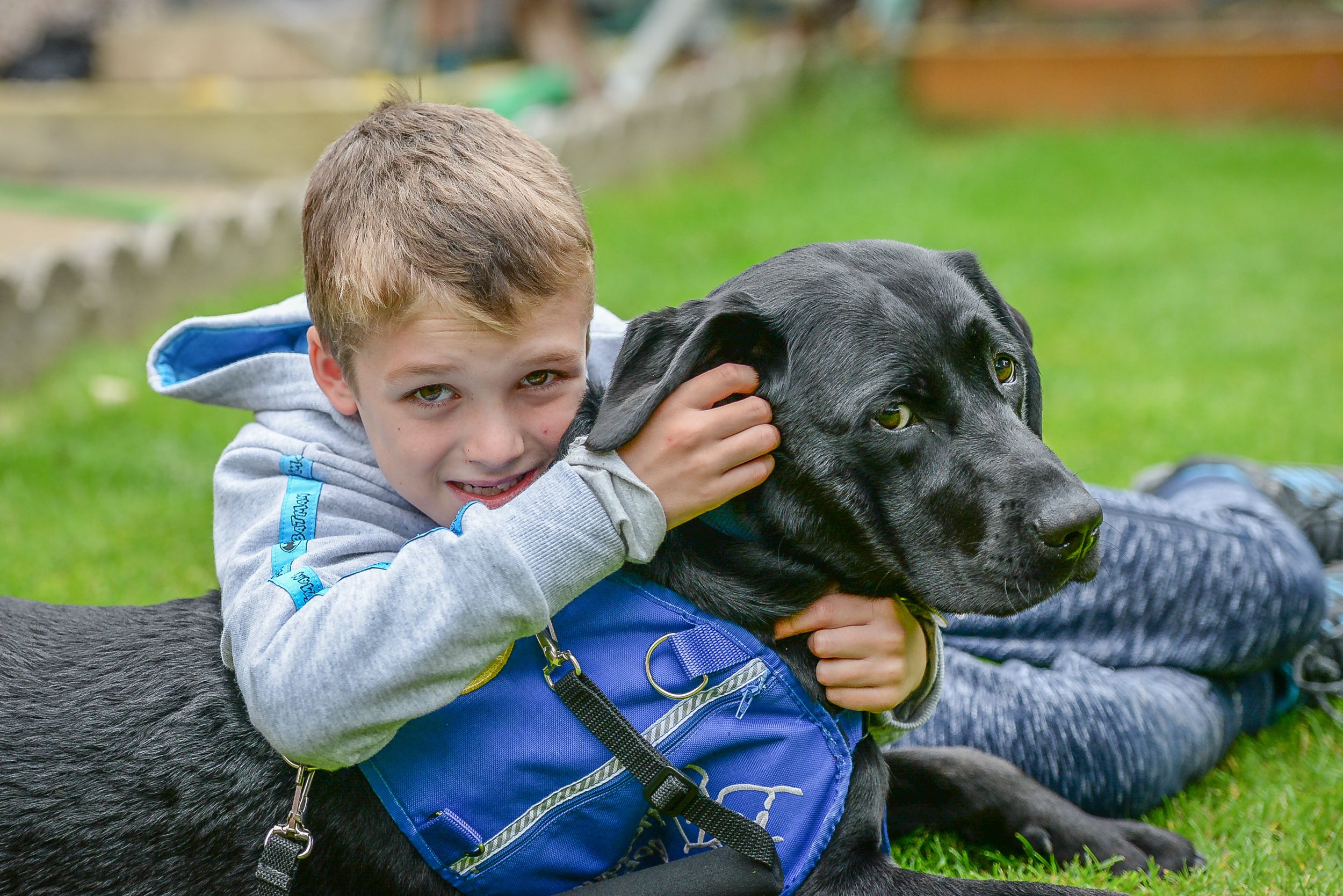 Support Dogs Rompa Partnership Sensory Rooms & Snoezelen® Equipment ...